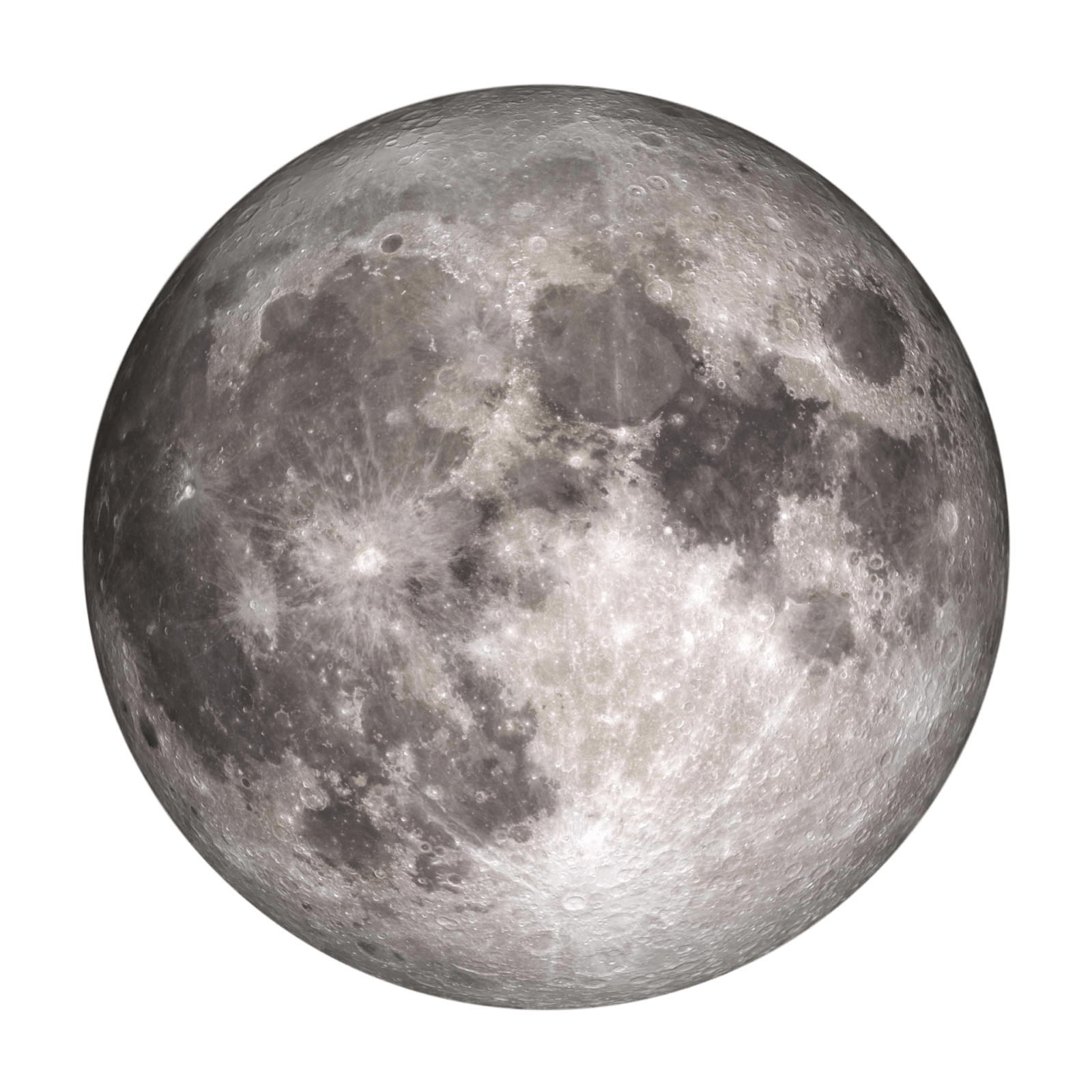 The Art and Craft of Moon Gardens - Mystery Under the Moonlight